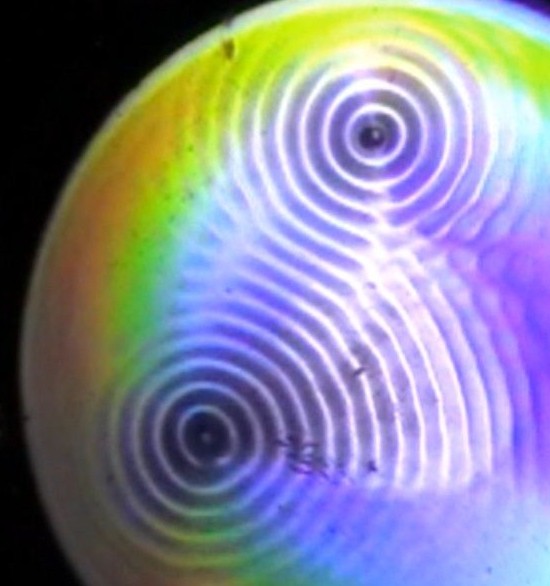 2 walking droplets getting attracted | DotWave.org