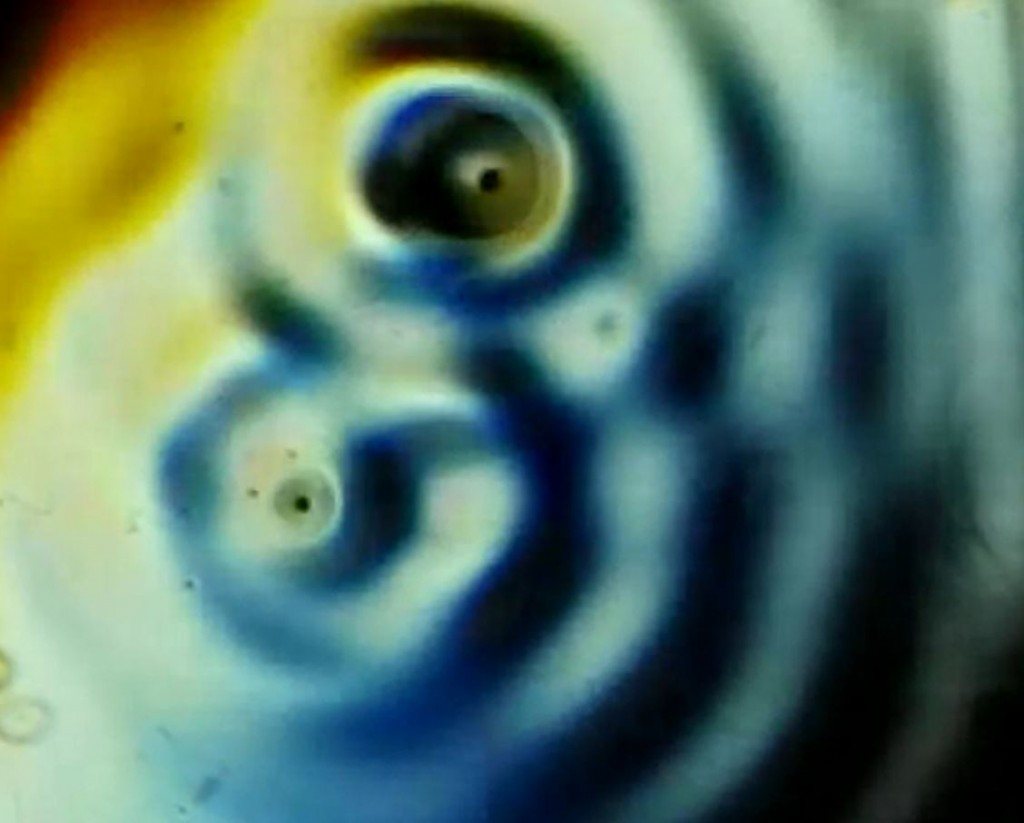 Photos | DotWave.org