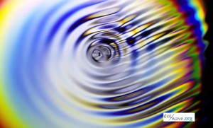 Photos | DotWave.org