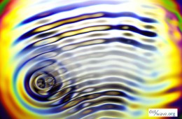 Photos | DotWave.org