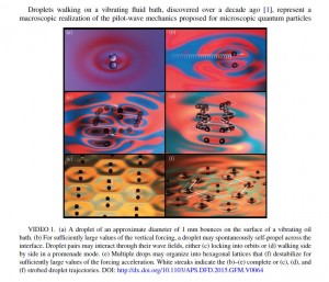 Videos | DotWave.org